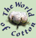 National Cotton Council of America
